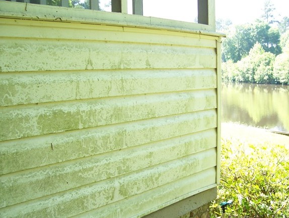 Mold & Mildew Control | Bac-Shield